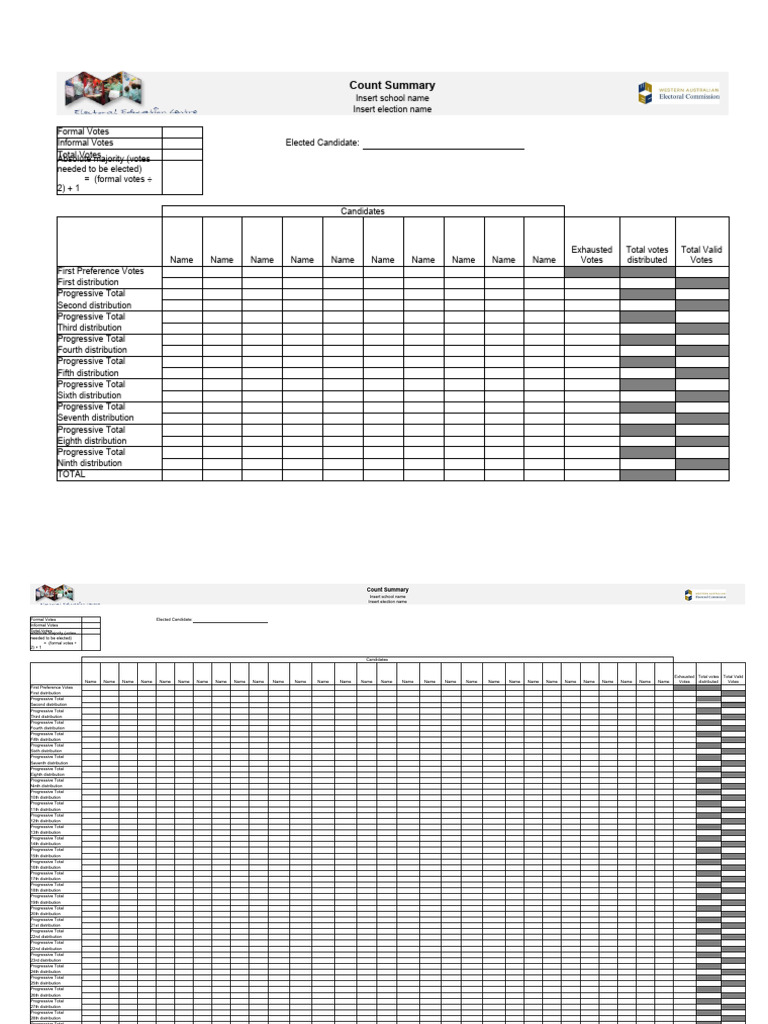 Election Count Summary Template | PDF
