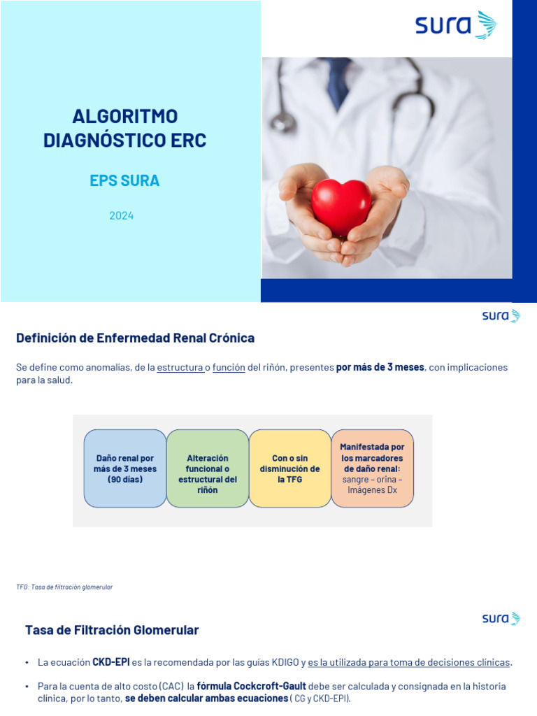 Algoritmo Diagnóstico ERC 2024 | PDF | Riñón | Medicina
