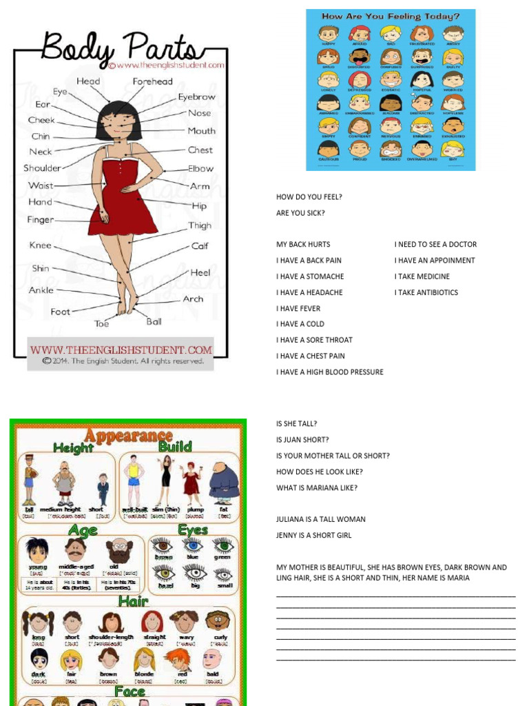 Pictionary para Niños | Download Free PDF | Lunch | Eating Behaviors Of ...