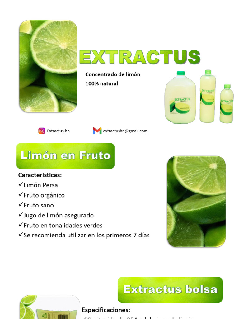 Extractus - Clientes 062023 | PDF | Cocina, comidas y vino