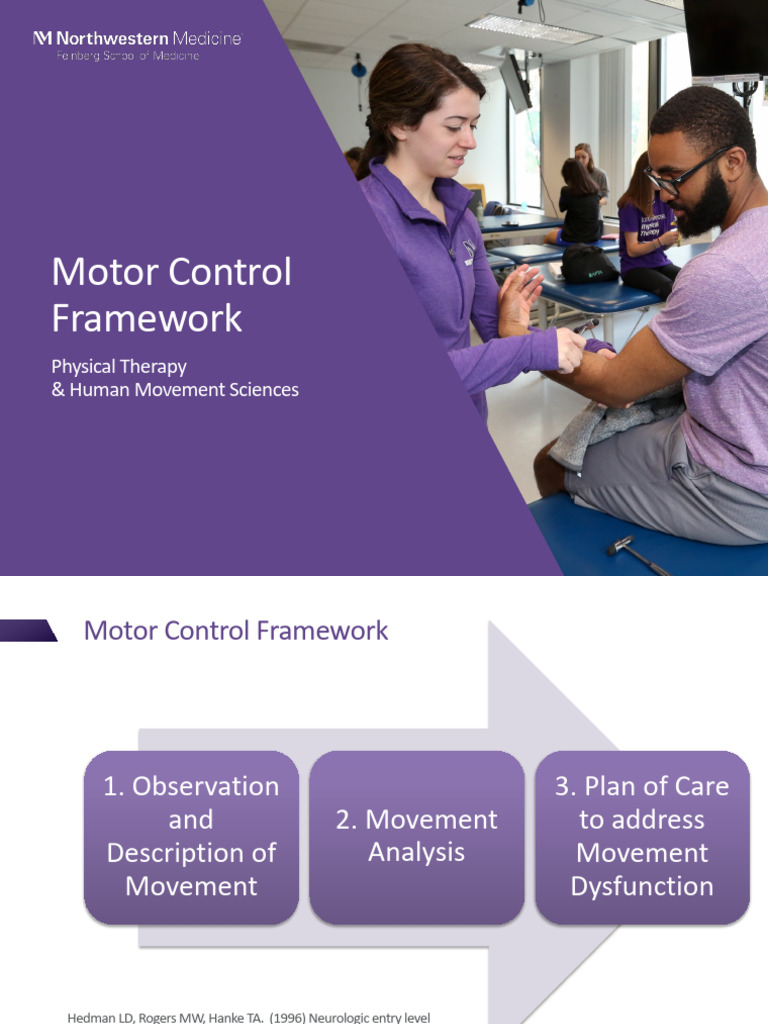 Motor Contro Framework-Branded | PDF | Cognition | Psychological Concepts