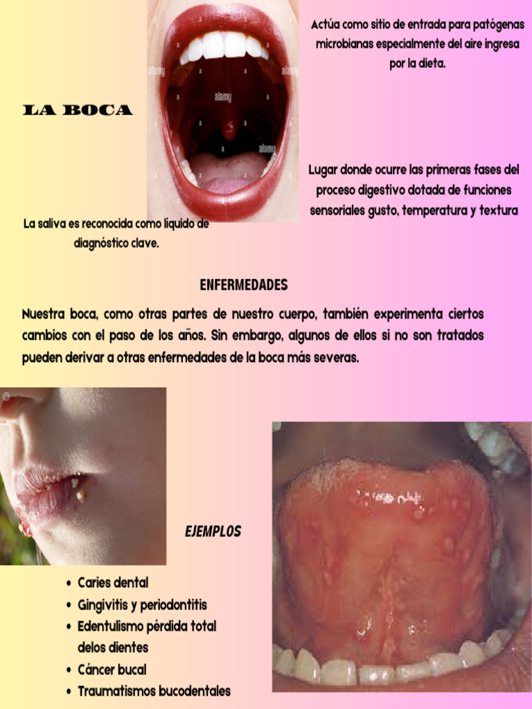 La Boca | PDF | Biopelícula | Biología