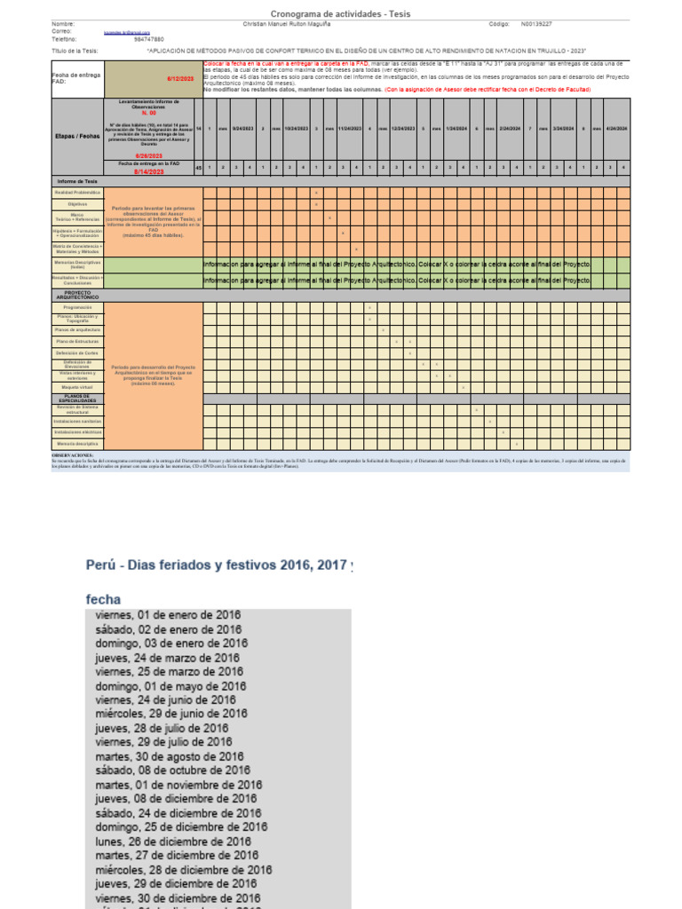 Ruiton Maguiña C. Formato Fad A Cronograma Tesis | PDF