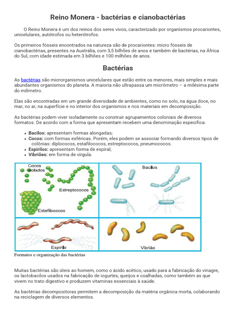 Resumo do Reino Monera para 2ª série | PDF | Bactérias | Cianobactéria