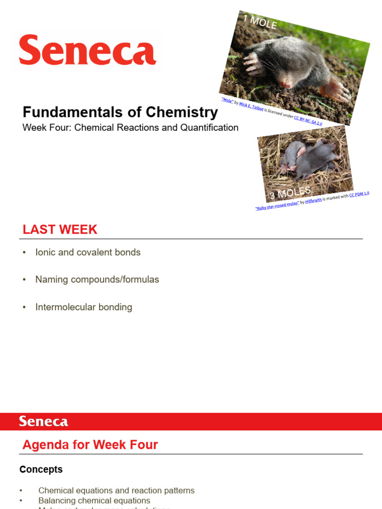 PowerPoint Presentation | PDF | Mole (Unit) | Stoichiometry