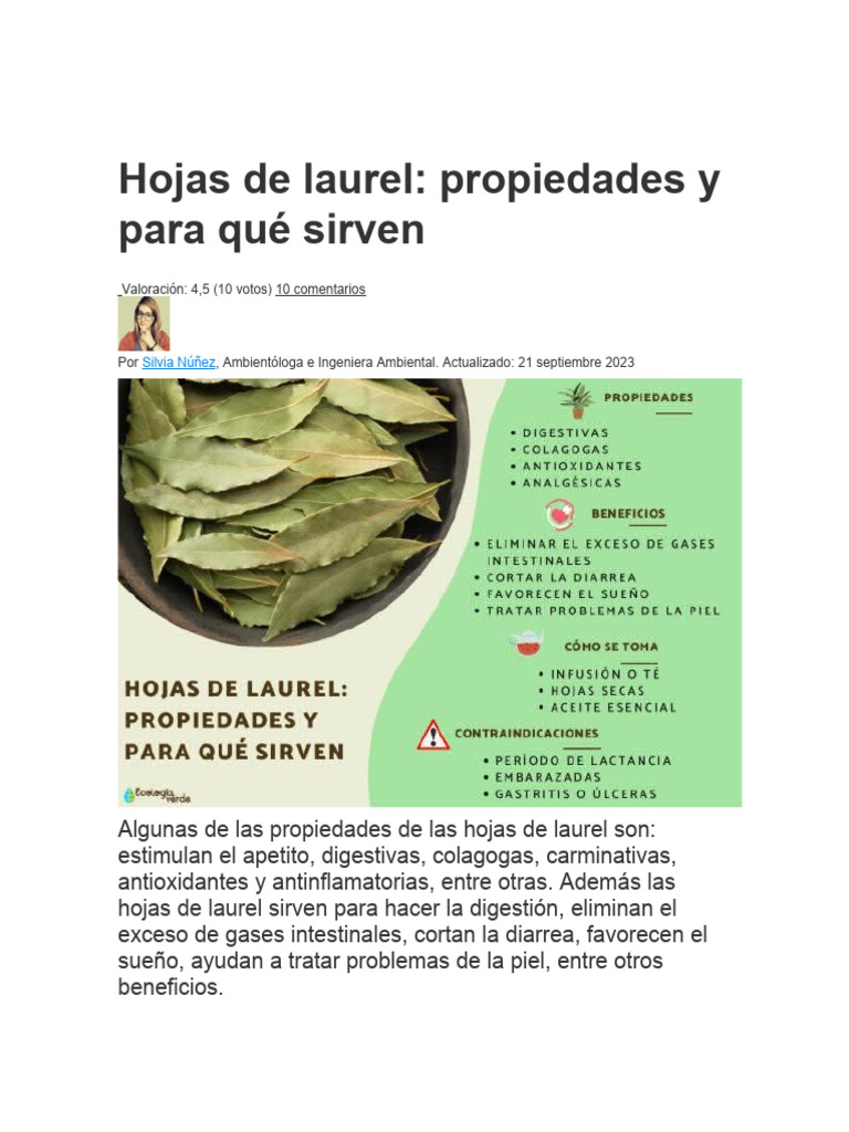 Hojas de Laurel | PDF | Té