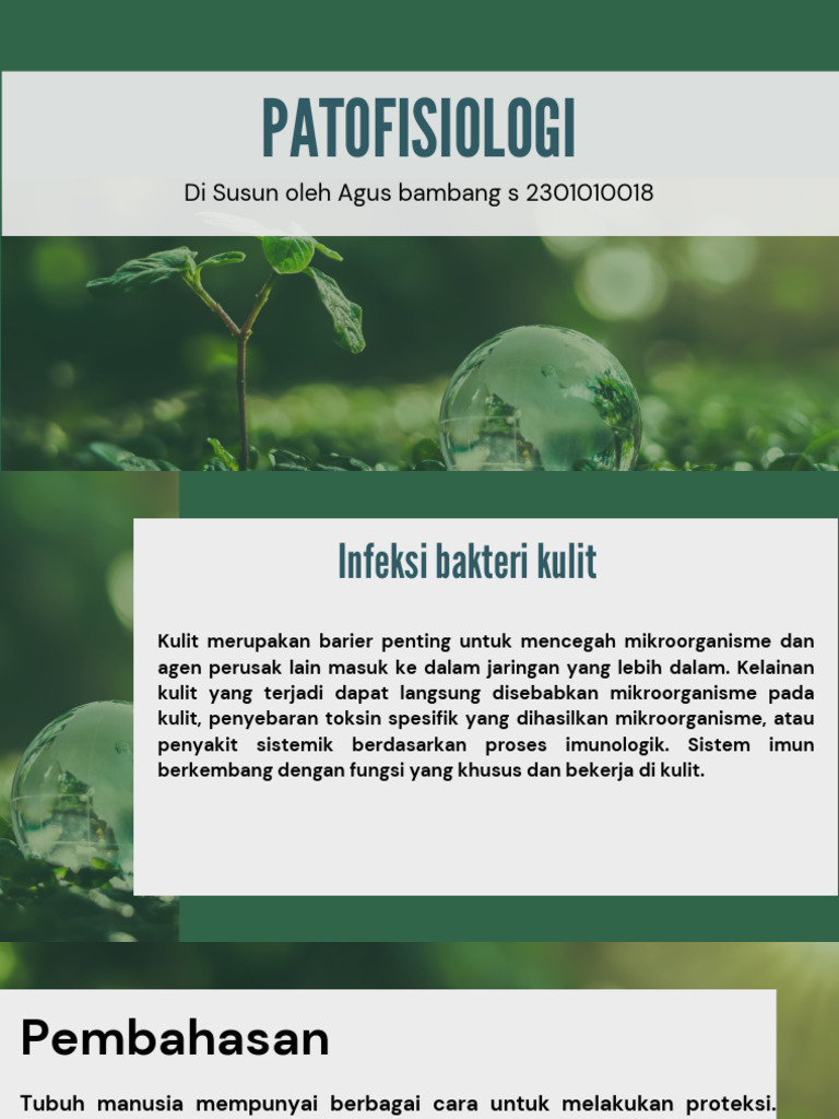 Infeksi Bakteri Kulit | PDF