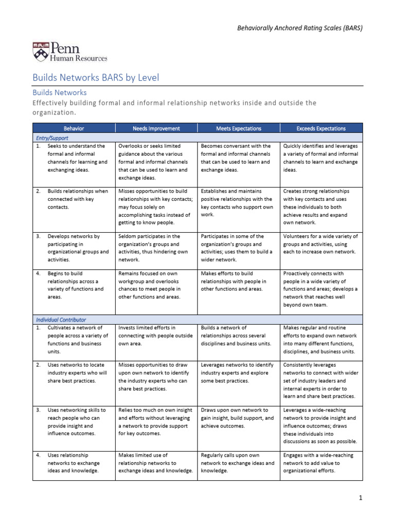 Builds Networks BARSby Level | PDF | Disciplines | Expert