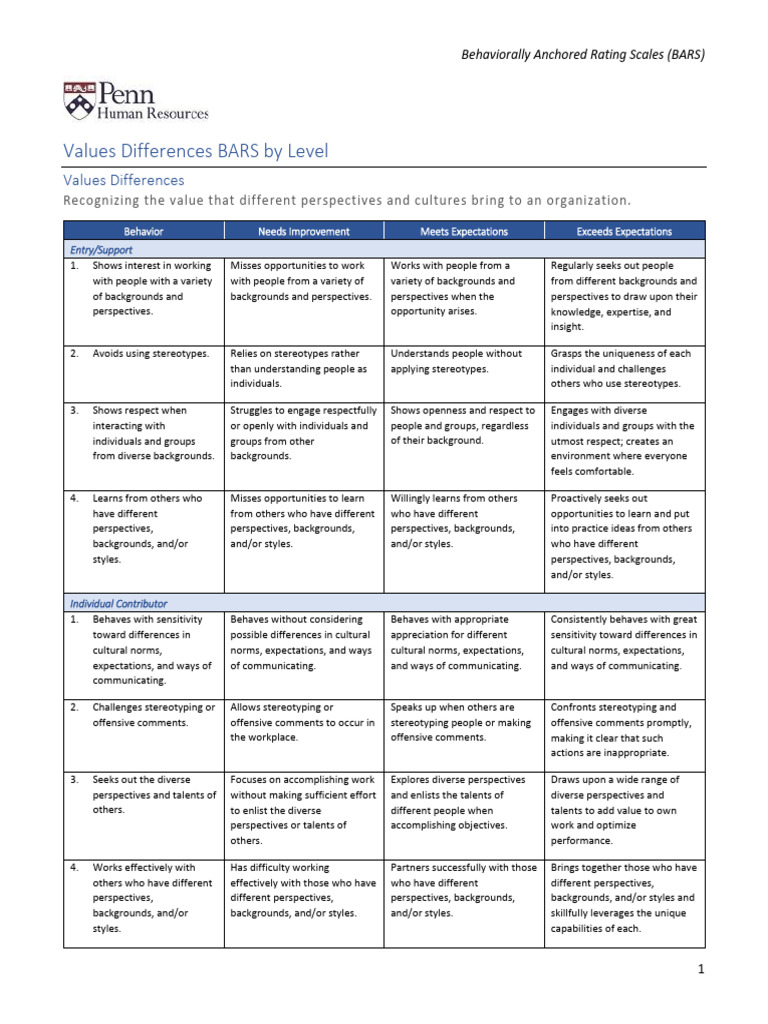 Values Differences Core Competency BARSby Level | PDF | Diversity ...
