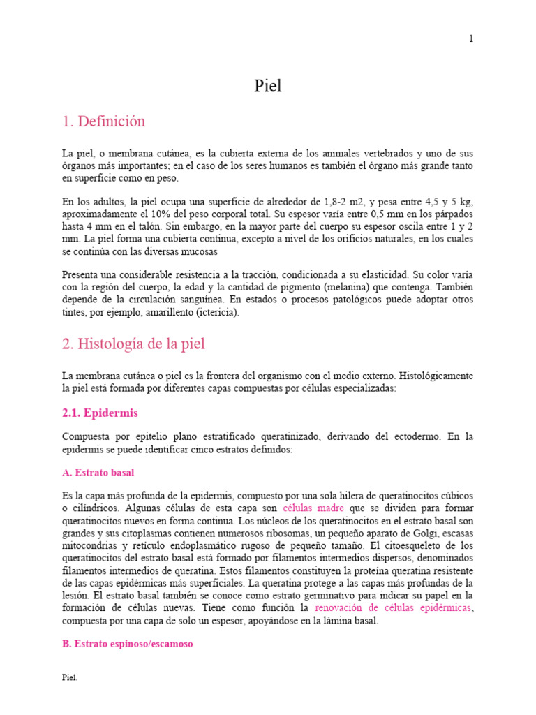 Anatomia, Fisiologia de La Piel | PDF | Piel | Epidermis