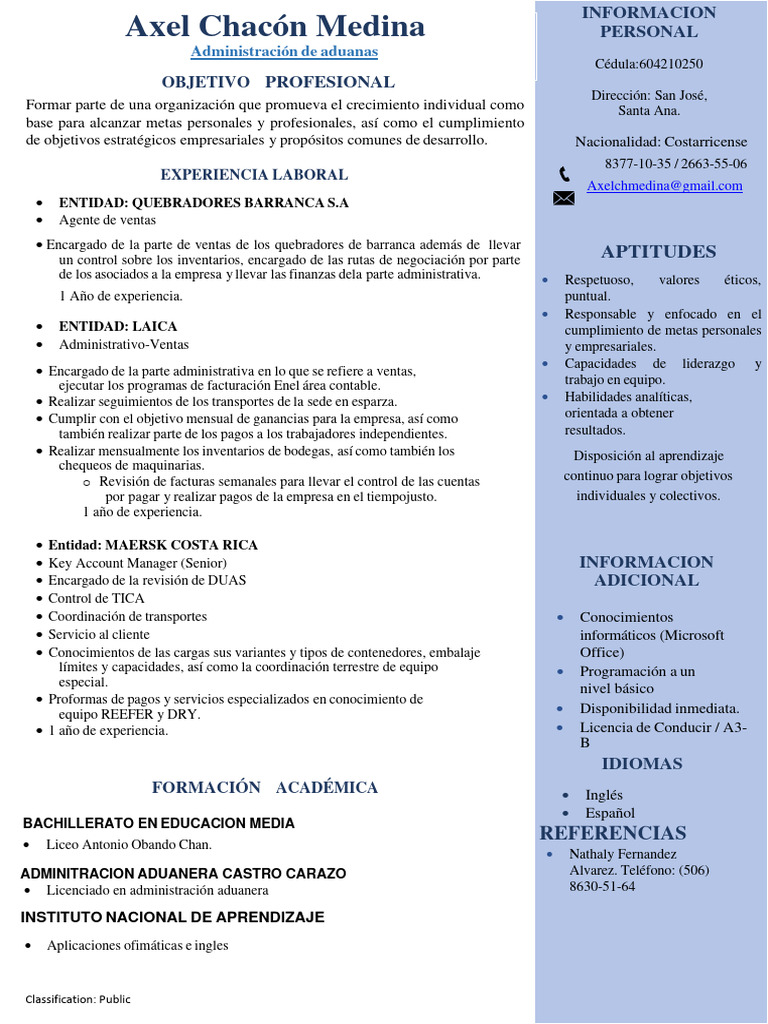 Currículum Actualizado SJ | PDF | Business