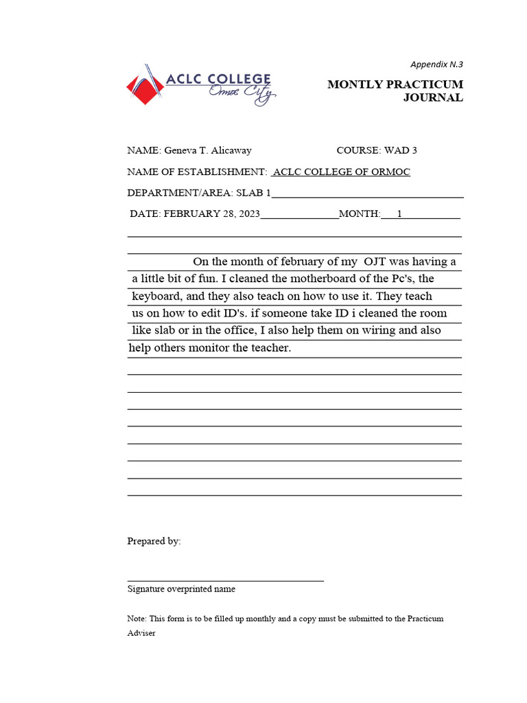 Monthly Practicum Journal | PDF