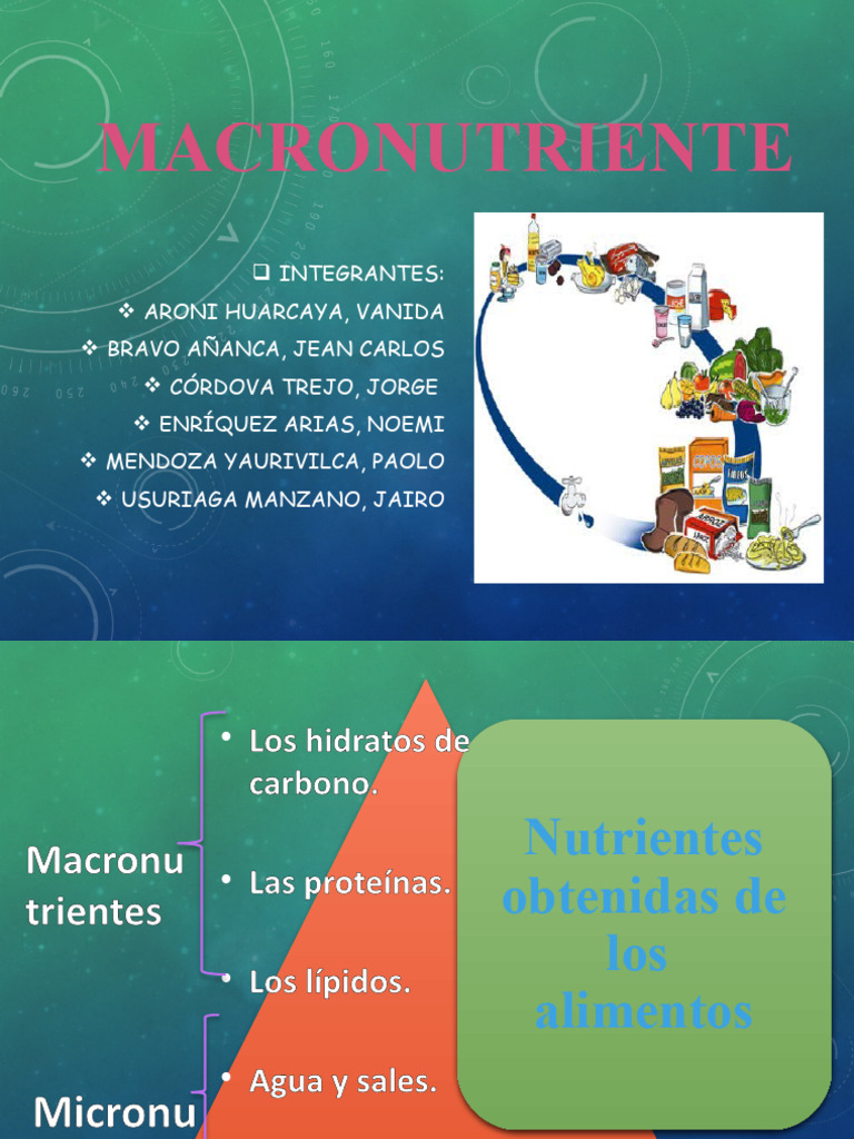 Macronutrientes: Energía y Funciones | PDF | Nutrientes | Carbohidratos