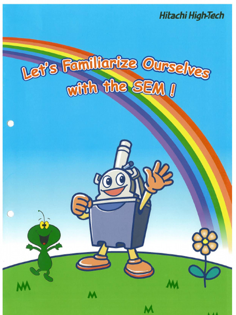 SEM Information Packet Hitachi | PDF