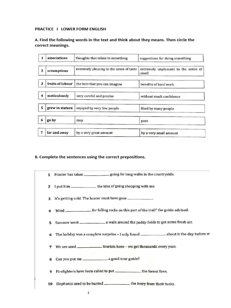 English Practice: Vocabulary & Essays | PDF