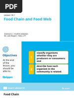 Food Chain Graphic Organizer | PDF | Foods