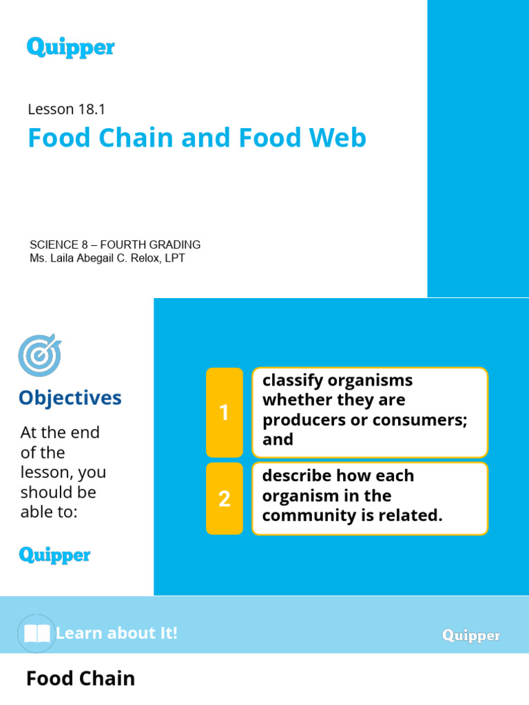 Science 8 18.1 Food Chain and Food Web | Download Free PDF | Food Web ...