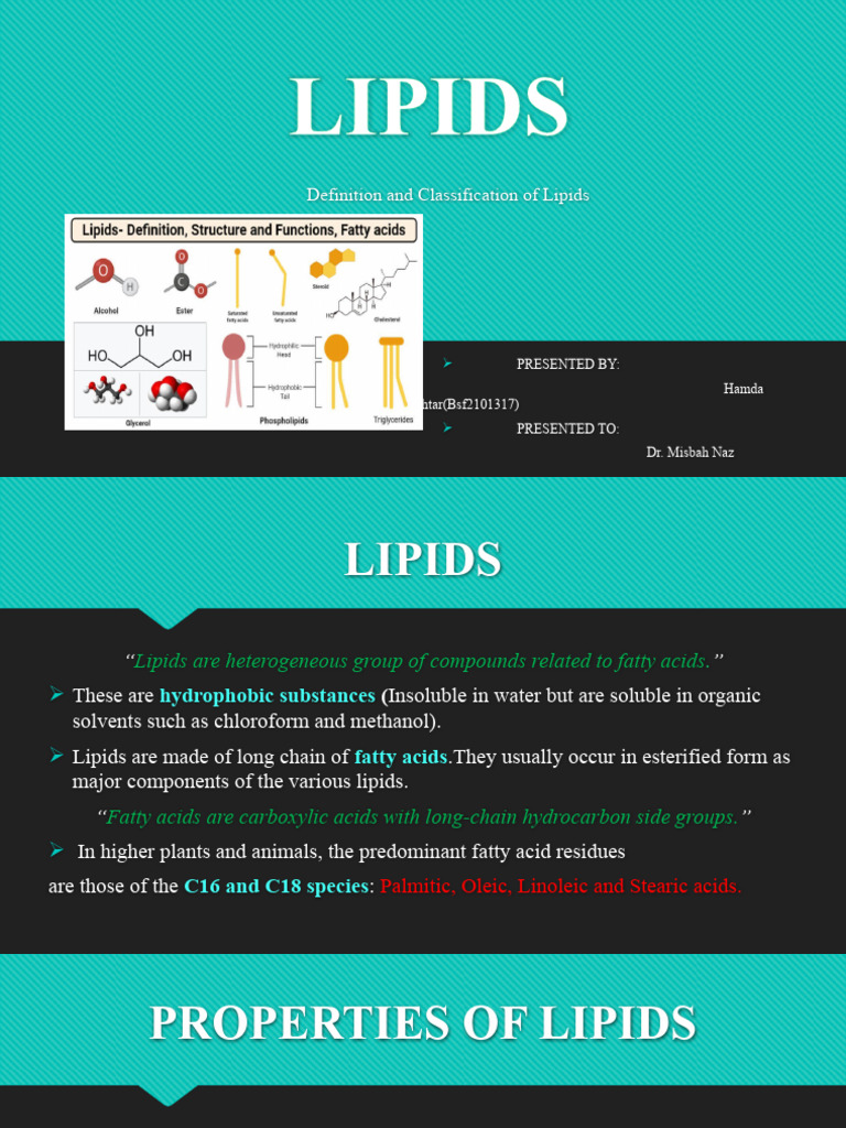 Comprehensive Guide to Lipids | PDF | Lipid | Triglyceride