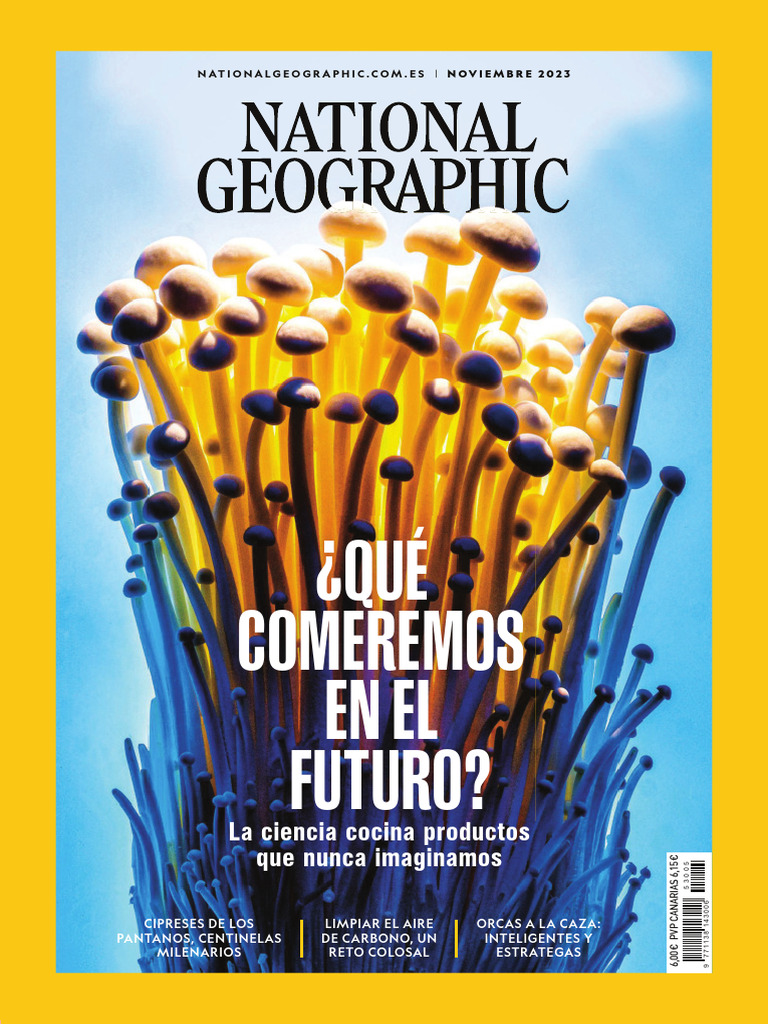 11 23 National Geographic | PDF | Estrellas | Insectos