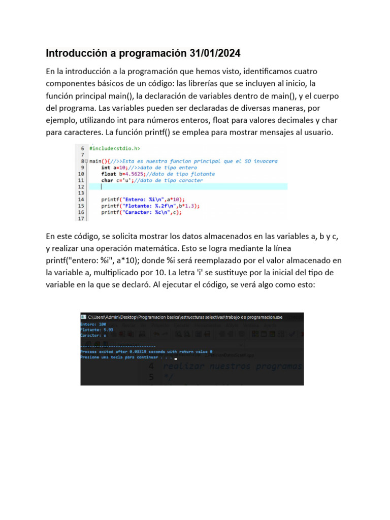 Apuntes Pdf Variable Informática Programa De Computadora 5152