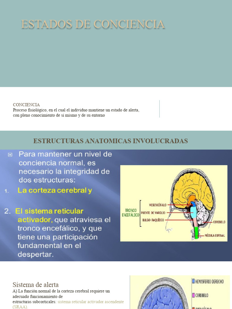 Tipos y Evaluación del Estado de Conciencia | PDF | Coma | Conciencia