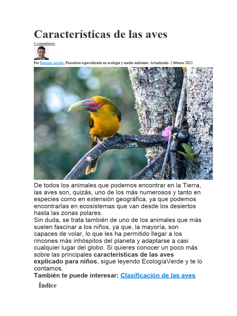 Características de las aves | PDF