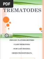 Trematode Flukes: Types and Characteristics | PDF | Zoology | Parasitology