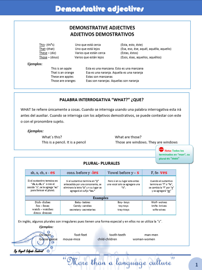 Adjetivos Demostrativos y Plurales | PDF | Relaciones sintácticas ...