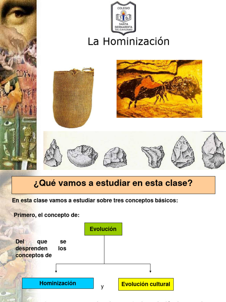 La Hominización 7a Historia Ppt | PDF | Homo | Evolución