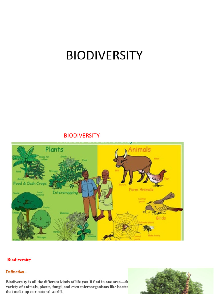 Biodiversity ........... | PDF | Biodiversity | Agriculture