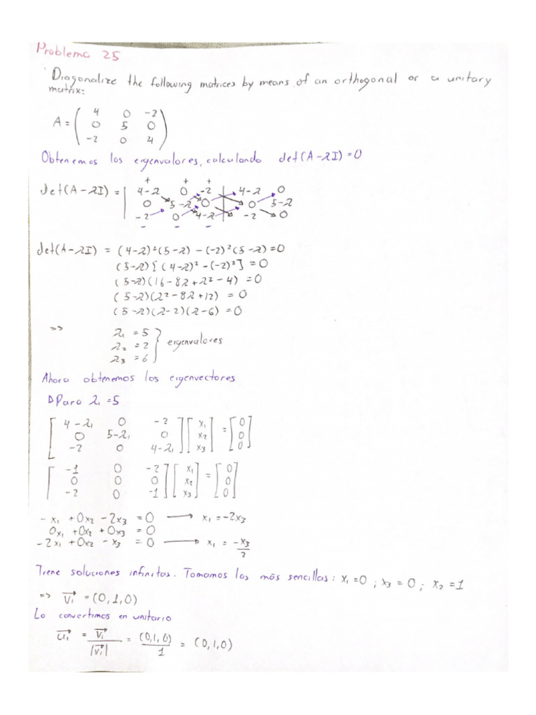 Mathematical Physics - Eugene Butkov - Capítulo 10 - Problema 25 - Incisos A y B | PDF