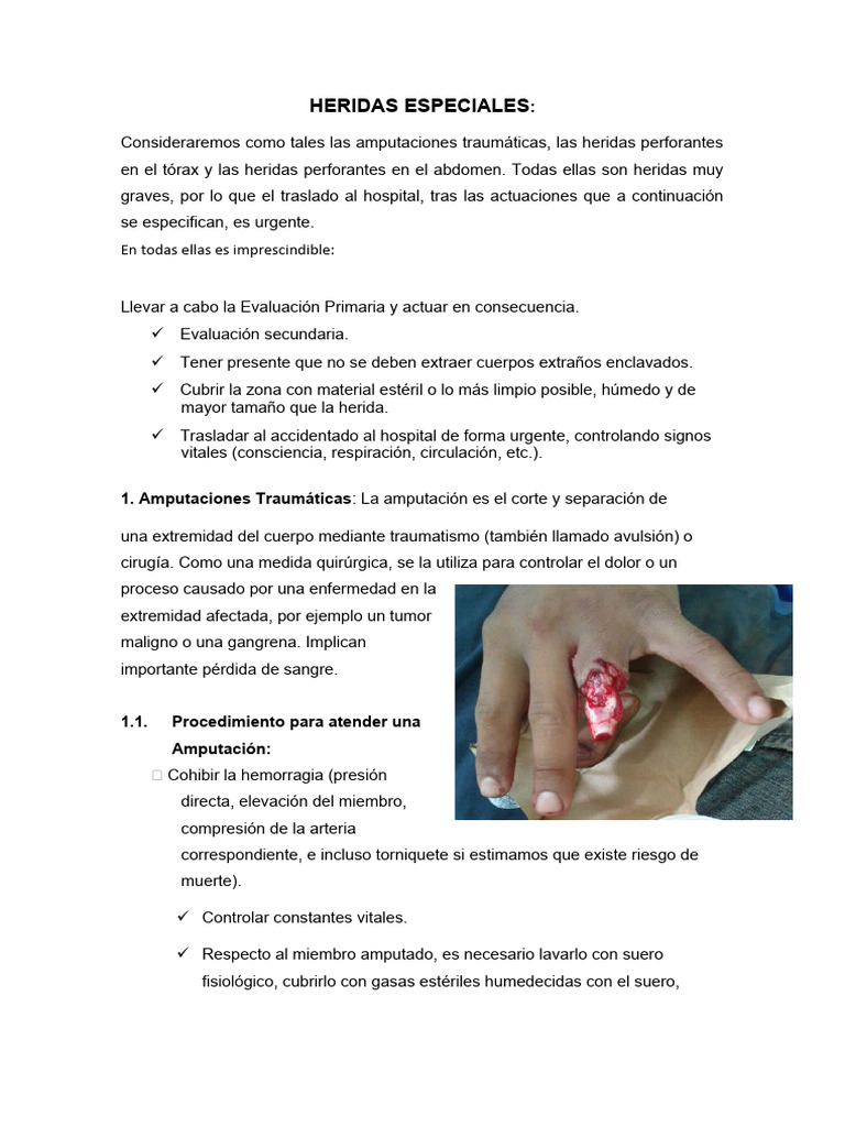 Separata 10 | PDF | Herida | Amputación