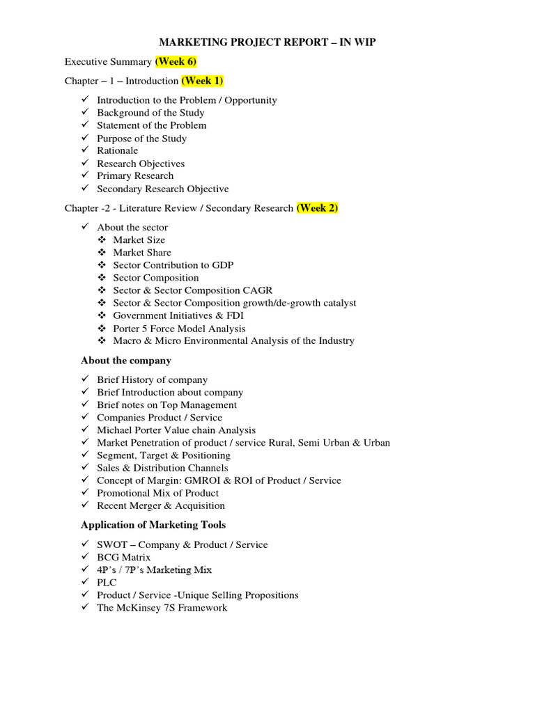 Marketing Project Report - WIPhdjdjdkfkfldkeiiddjbd ...