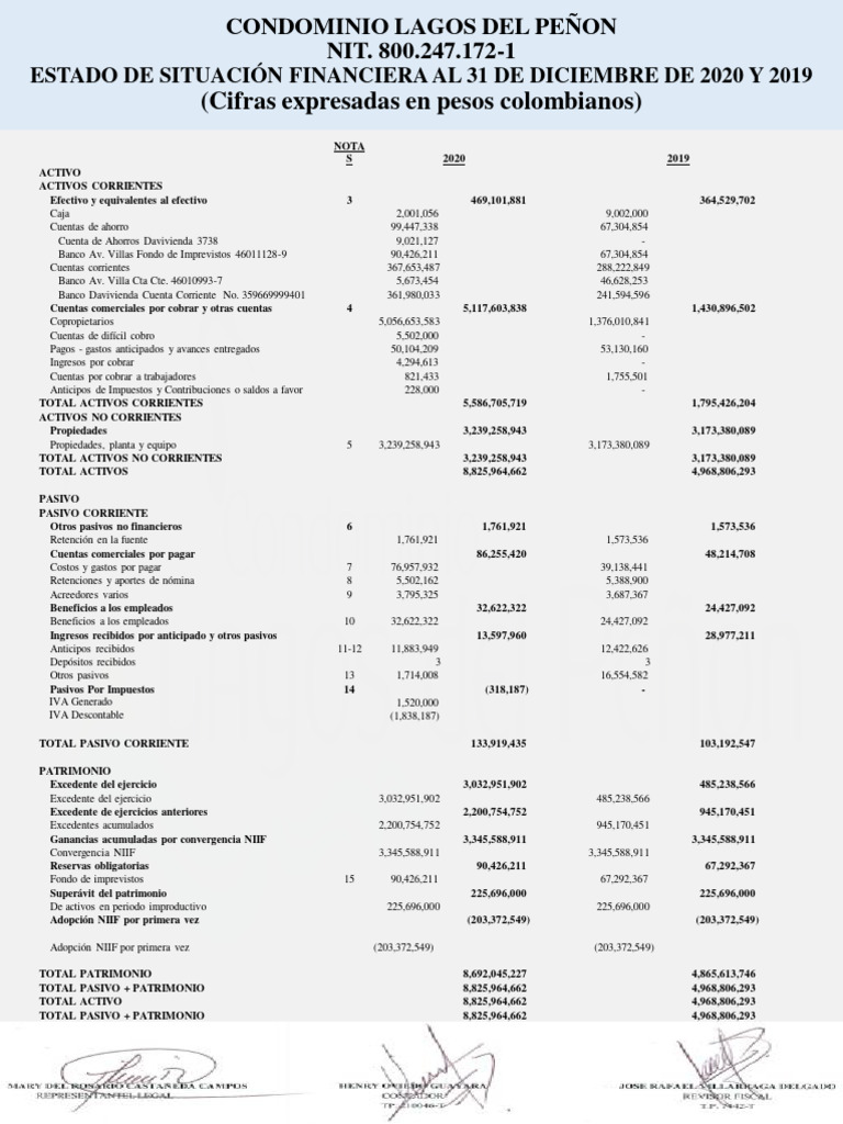 ESTADOS FINANCIEROS 2020 | PDF | Dinero | Economias