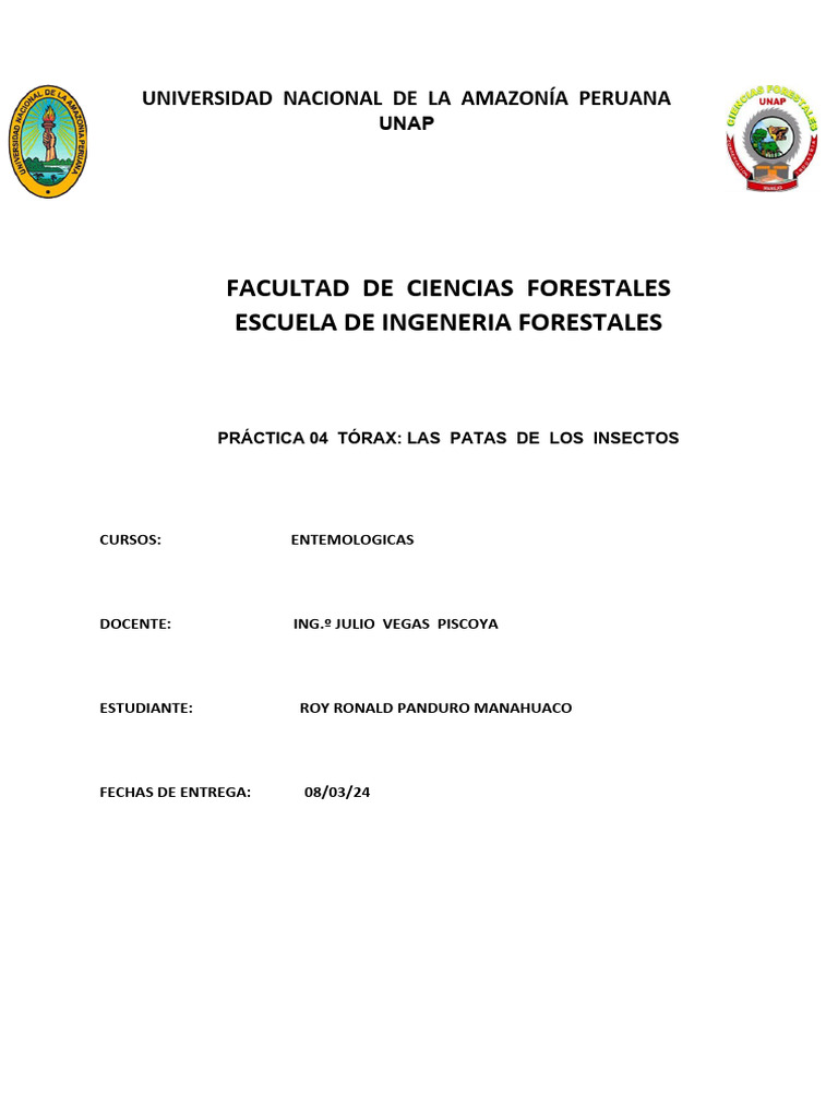 Estructura y Tipos de Patas de Insectos | PDF | Insectos | Artrópodos