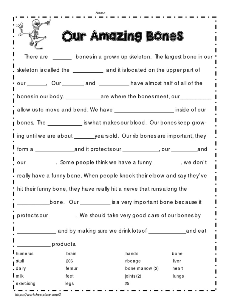 All About Bones | PDF | Bone | Skeleton