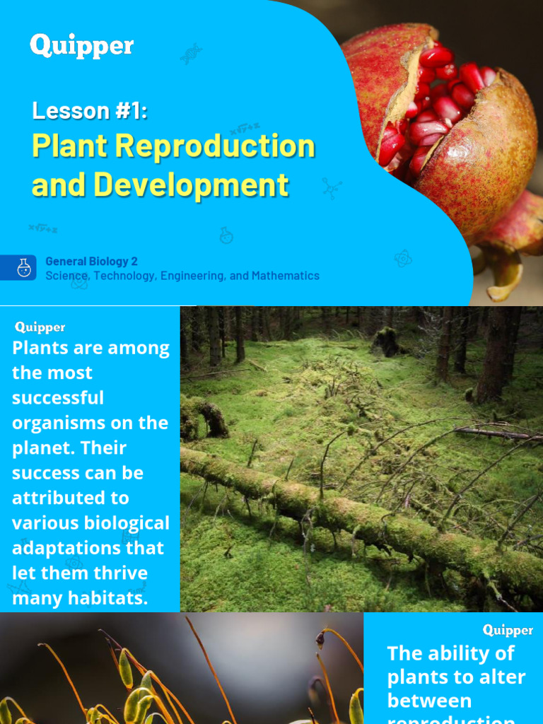 Plant Reproduction and Development Overview | PDF | Sexual Reproduction ...