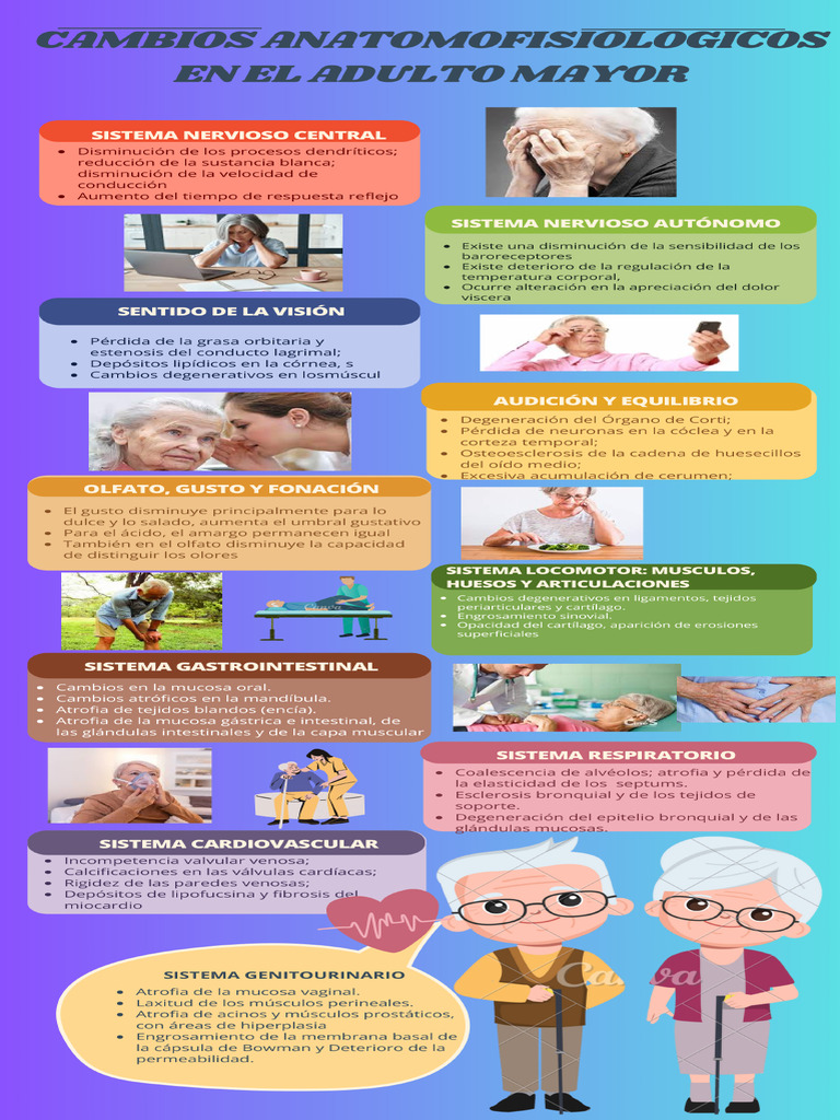 Cambios Físicos y Sus Consecuencias en La Vejez | PDF