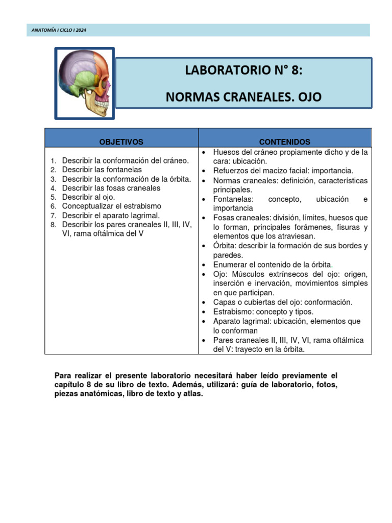 Laboratorio 8 Normas Craneales. Ojo 2024 | PDF | Cráneo | Anatomía humana