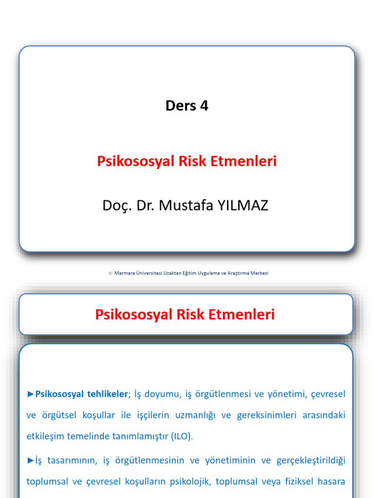 04 Psikososyal Risk Etmenleri | PDF