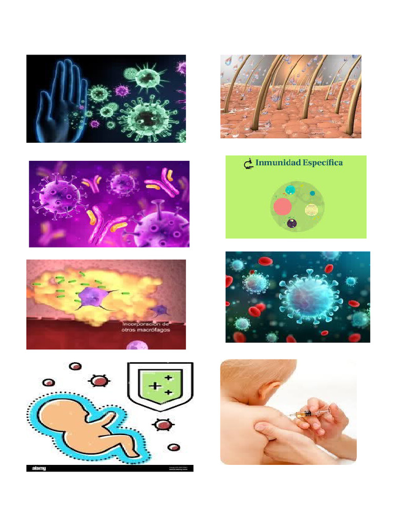 Tipos de Inmunidad.. | PDF