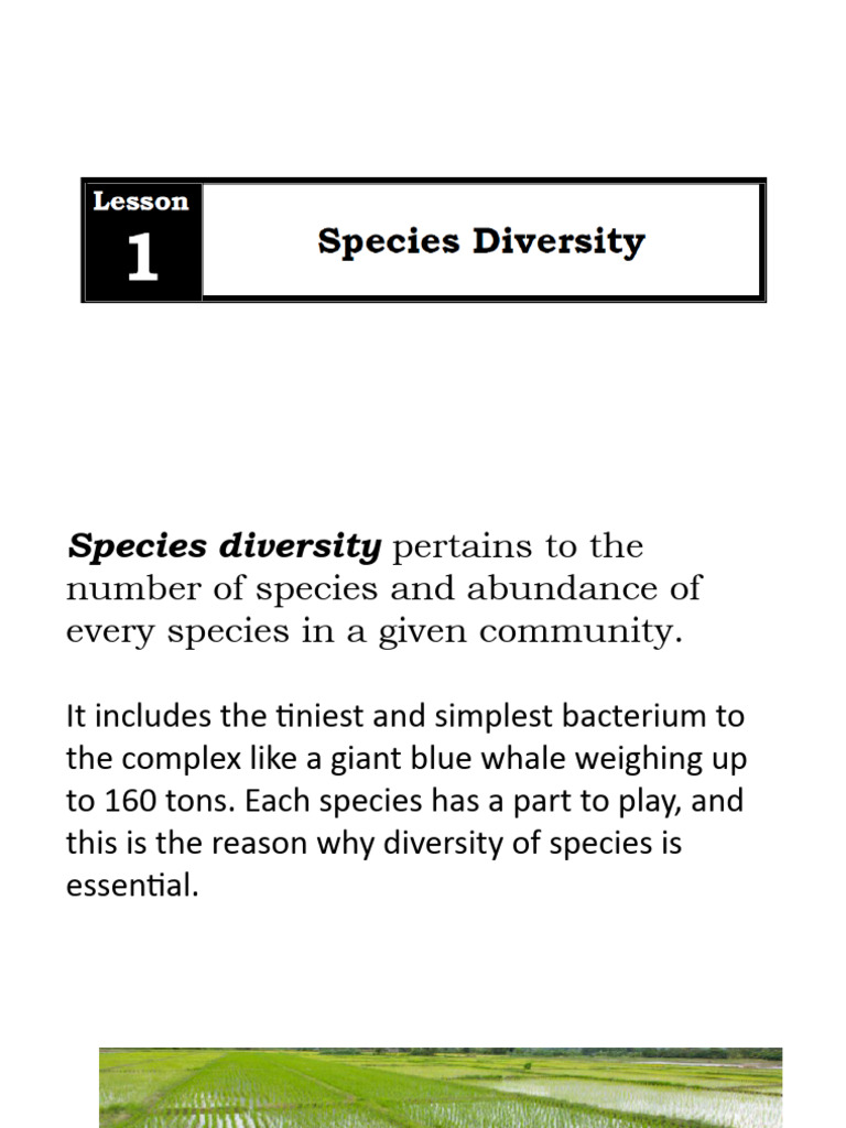 Q4 Biodiversity | PDF | Biodiversity | Species
