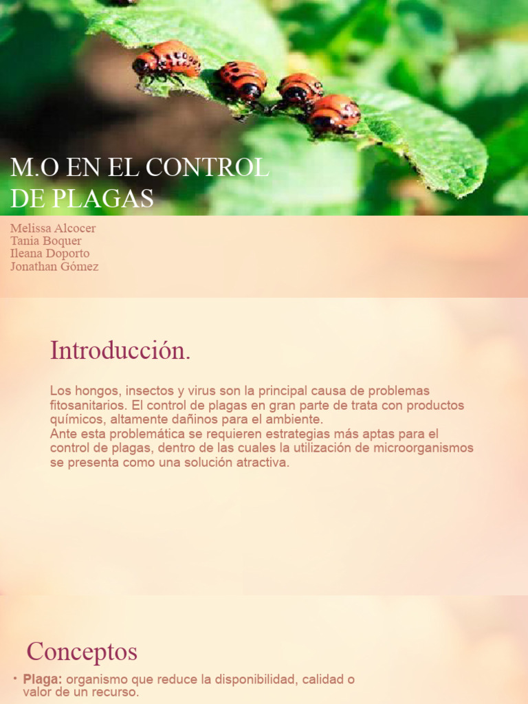 Micro en Plagas Eqp. 1 | PDF | Control biológico de plagas | Plaga ...