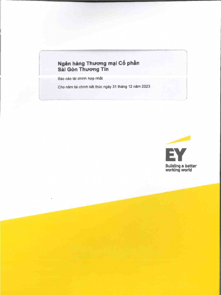 BCTC Hop Nhat Nam 2023 Da Kiem Toan | PDF