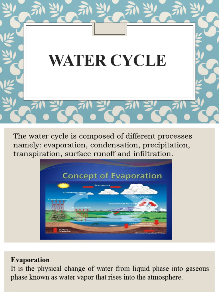 Q4 Water Cycle, Etc | PDF