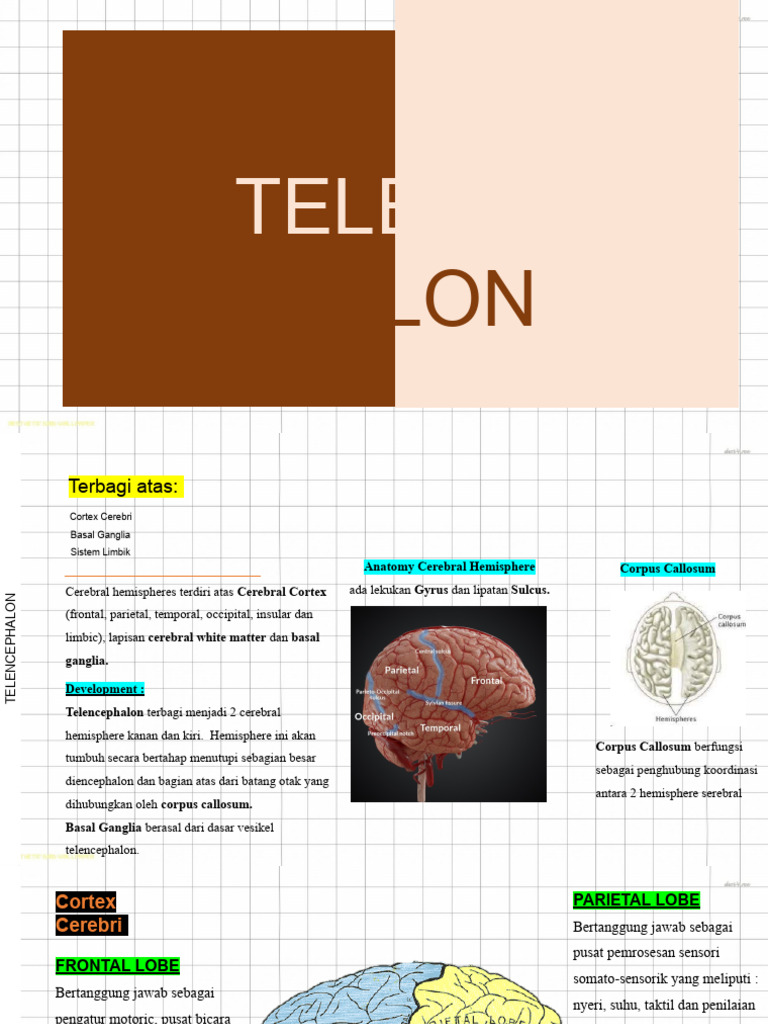 Clinical Neuroanatomy - Cerebrum | PDF