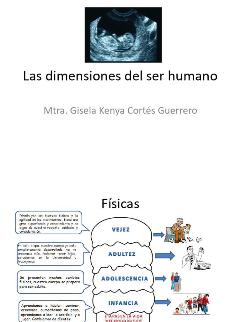 Las Dimensiones Del Ser Humano | Descargar gratis PDF | Humano | Autoestima
