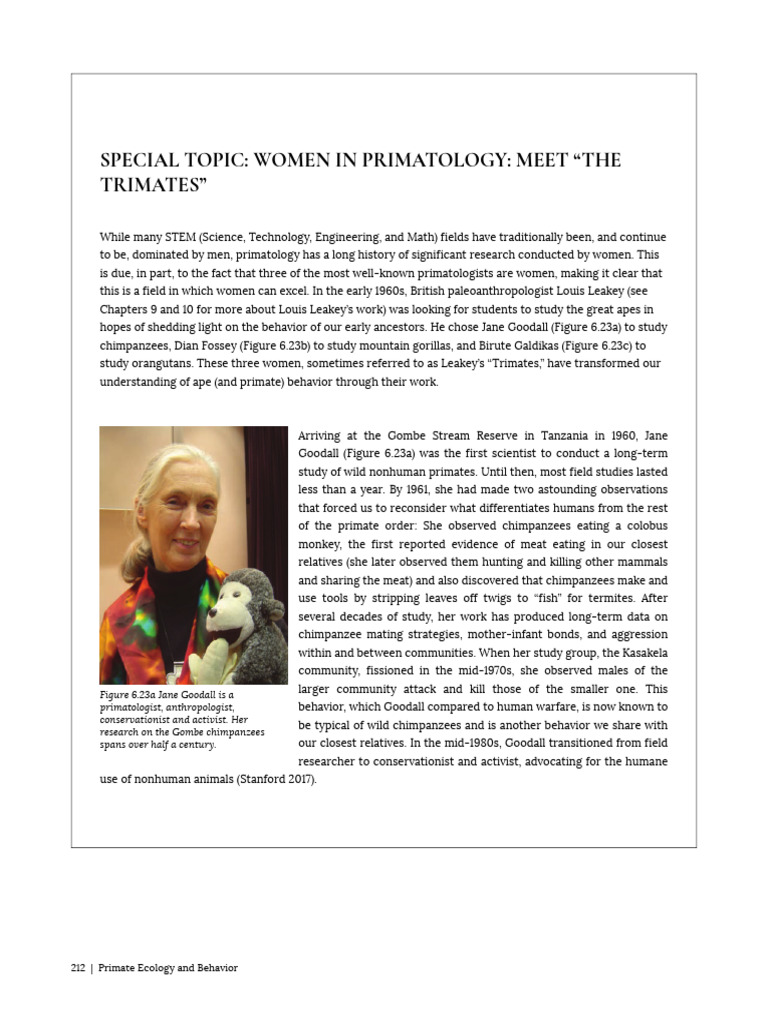 Women Primatologists | PDF | Orangutan | Zoology