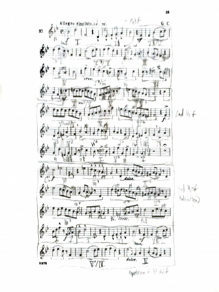 PAJARILLO - ANALYSIS of Dannhauser Book 2 No. 37 | PDF