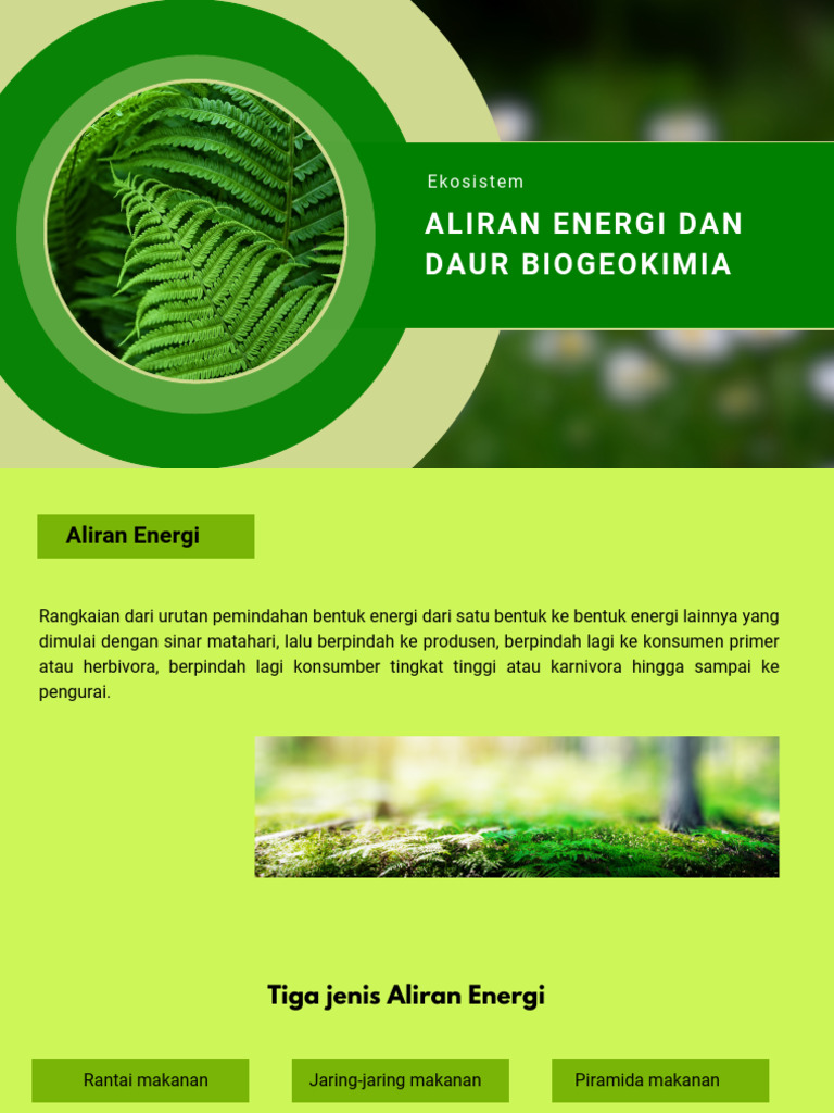 Aliran Energi Dan Biogeokimia | PDF